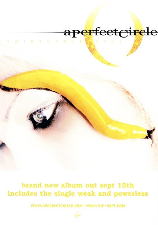 A PERFECT CIRLCE Thirteenth Step Poster Print - prints4u