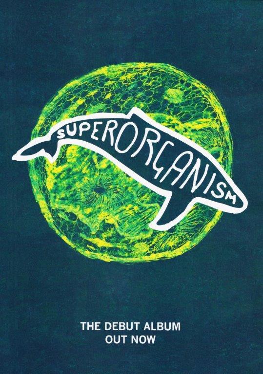 SUPERORGANISM The Debut Album Poster Print - prints4u