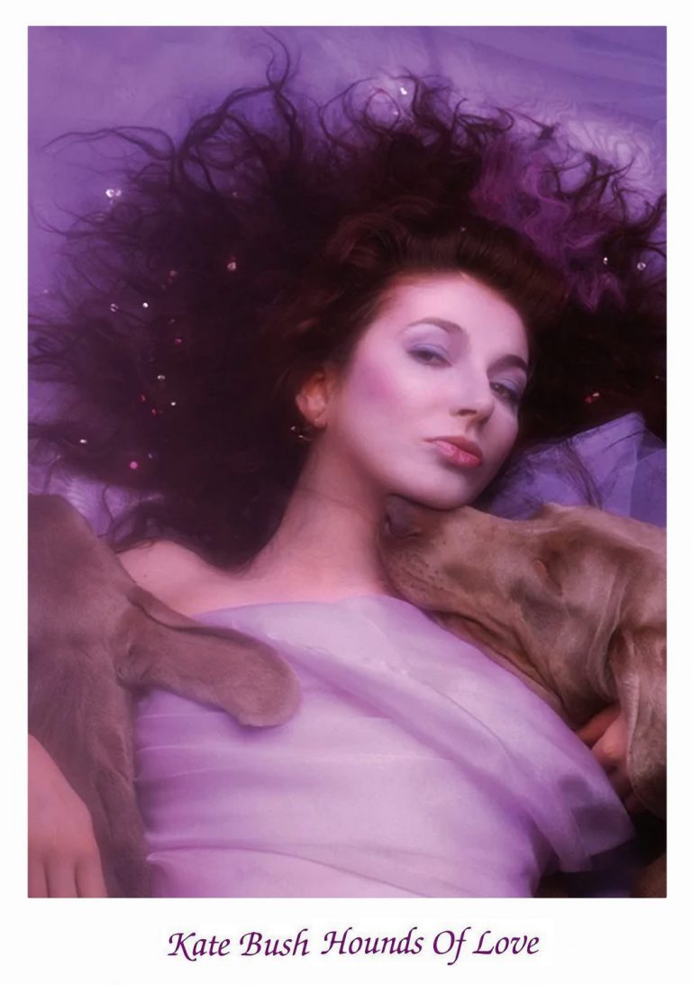 KATE BUSH Hounds Of Love Poster Print