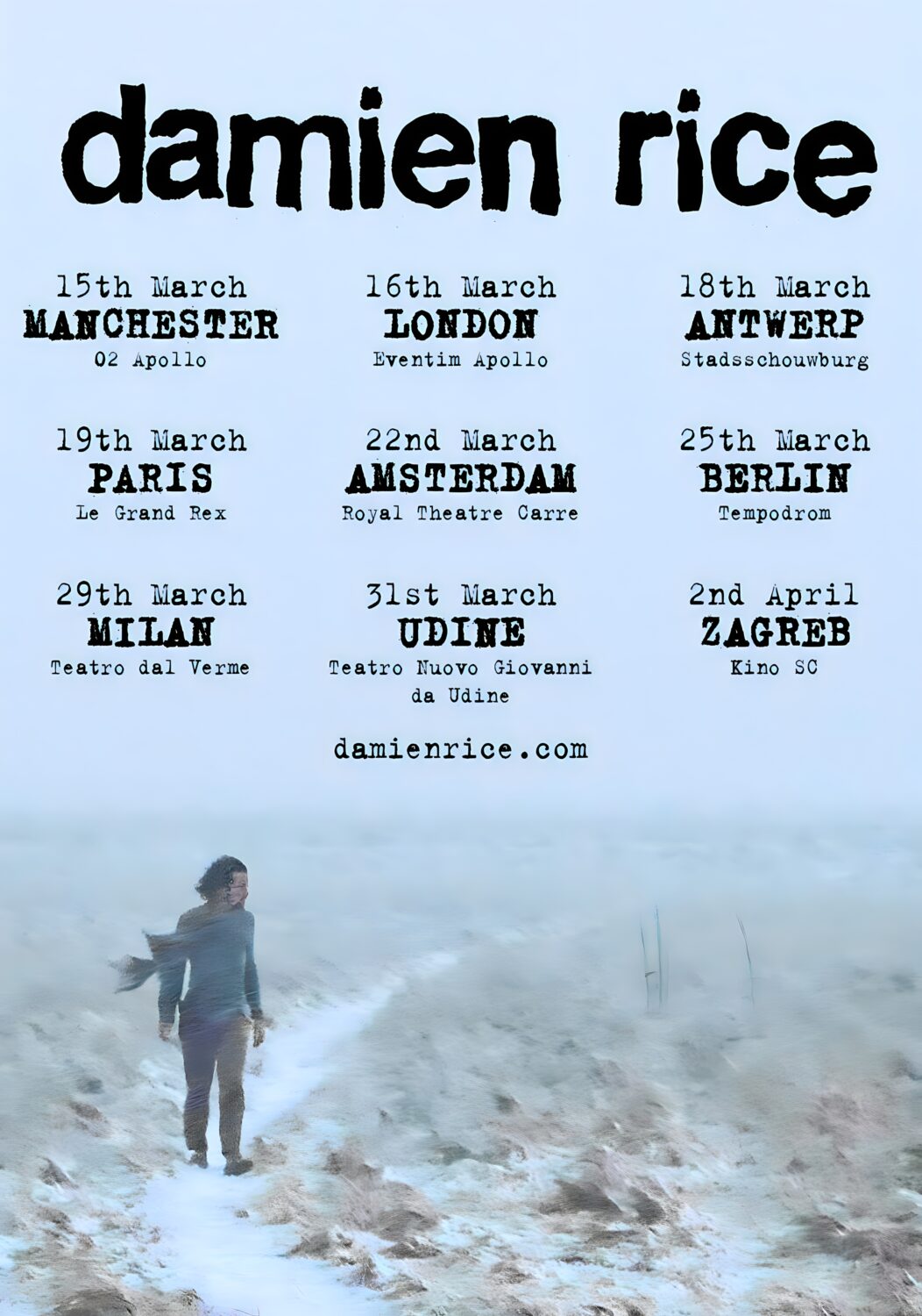 DAMIEN RICE 2023 European/UK - LONDON Tour Poster Print